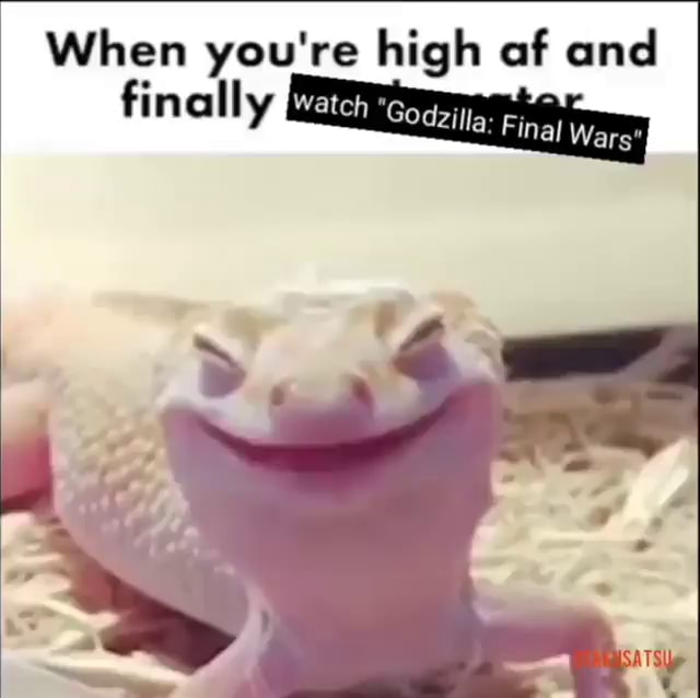 When you're high af and finally Final nan - iFunny