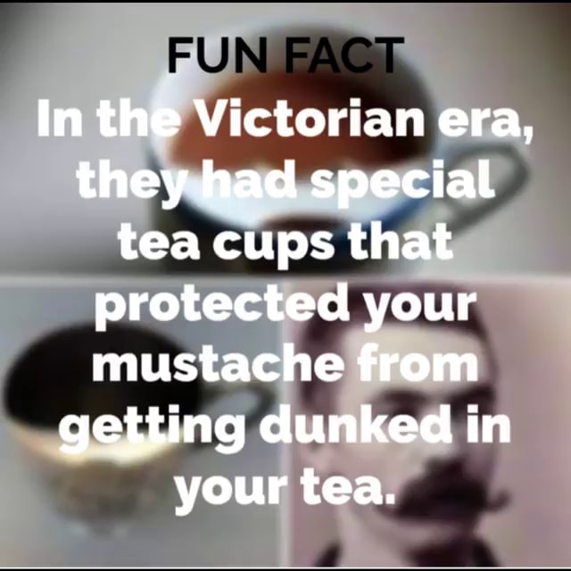 Fun Facts #1 - Victorian era teacup - FUN FACT In the Victorian era ...