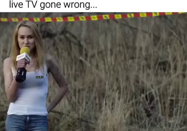 Live TV gone wrong... Wire - iFunny