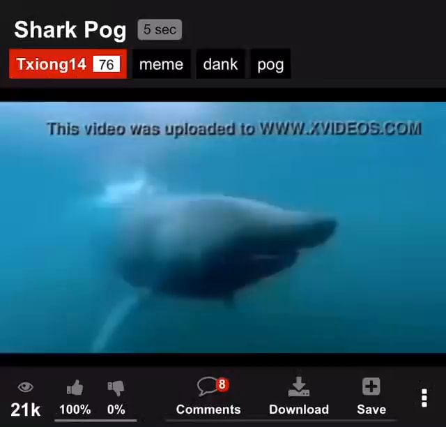 Shark Peg meme dank pog his video was uploaded to WWVW.AVIDEOS COM 100% ...