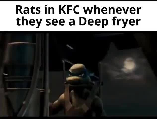 Rats in KFC whenever they see a Deep fryer - iFunny