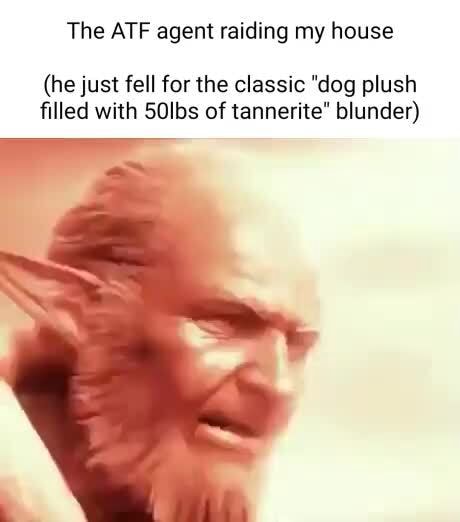 The ATF agent raiding my house (he just fell for the classic "dog plush ...