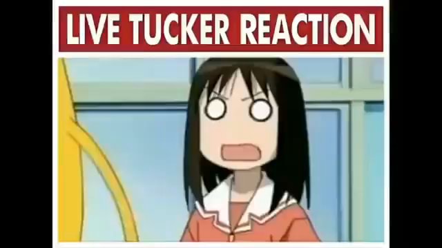 TIVE TIICWE FAR LIVE TUCKER REACTION - iFunny