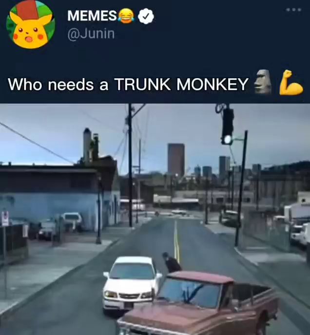 MEMES @dJunin Who needs a TRUNK MONKEY I - iFunny