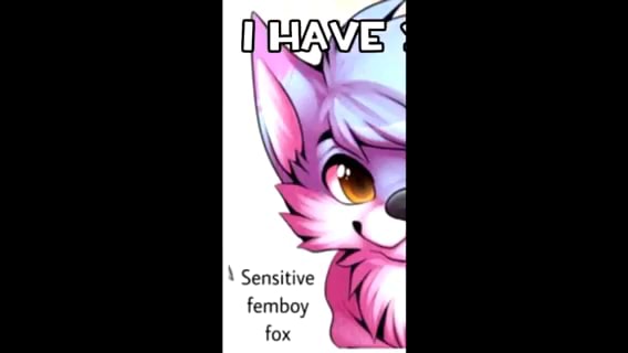 Sensitive femboy fox - iFunny
