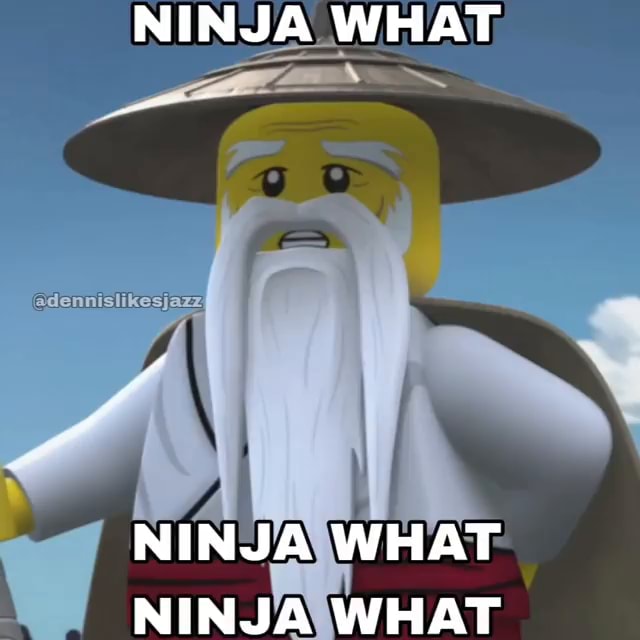 NINJA WHAT NINJA WHAT NINJA WHAT - iFunny