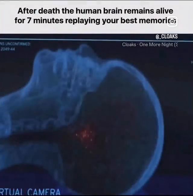 After death the human brain remains alive for 7 minutes replaying your ...