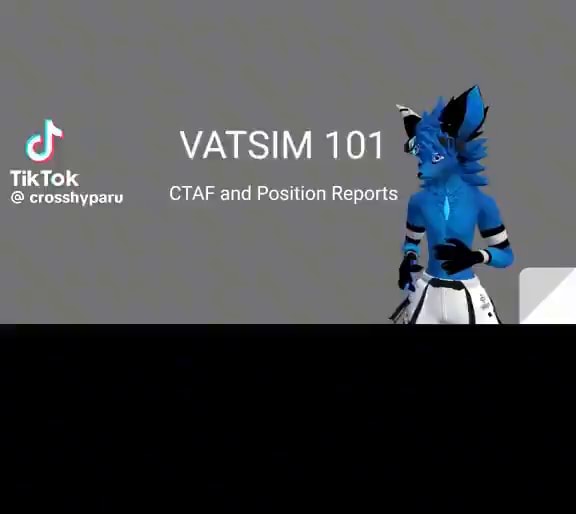 VATSIM 101 CTAF and Position Reports - iFunny