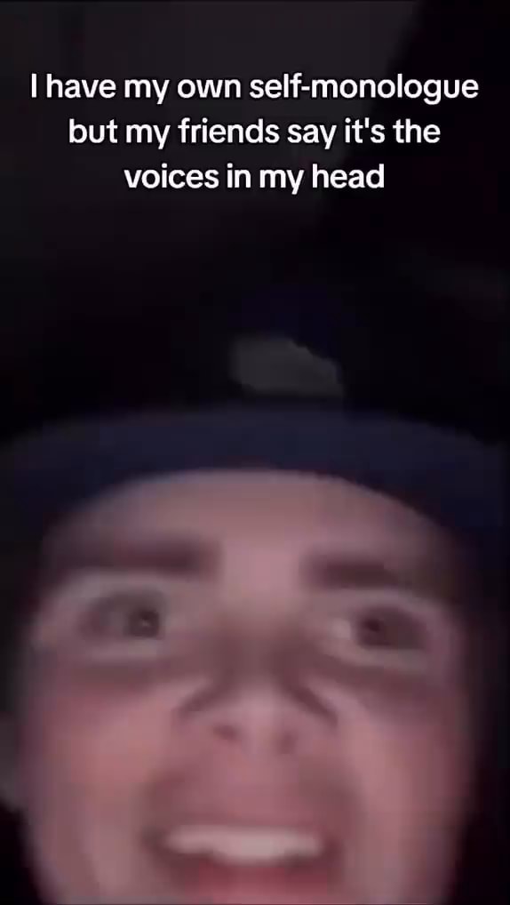 I have my own self-monologue but my friends say it's the voices in my ...