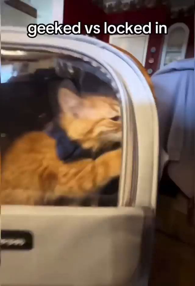 Geeked vs locked in - iFunny