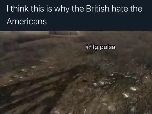 I think this is why the British hate the Americans - iFunny
