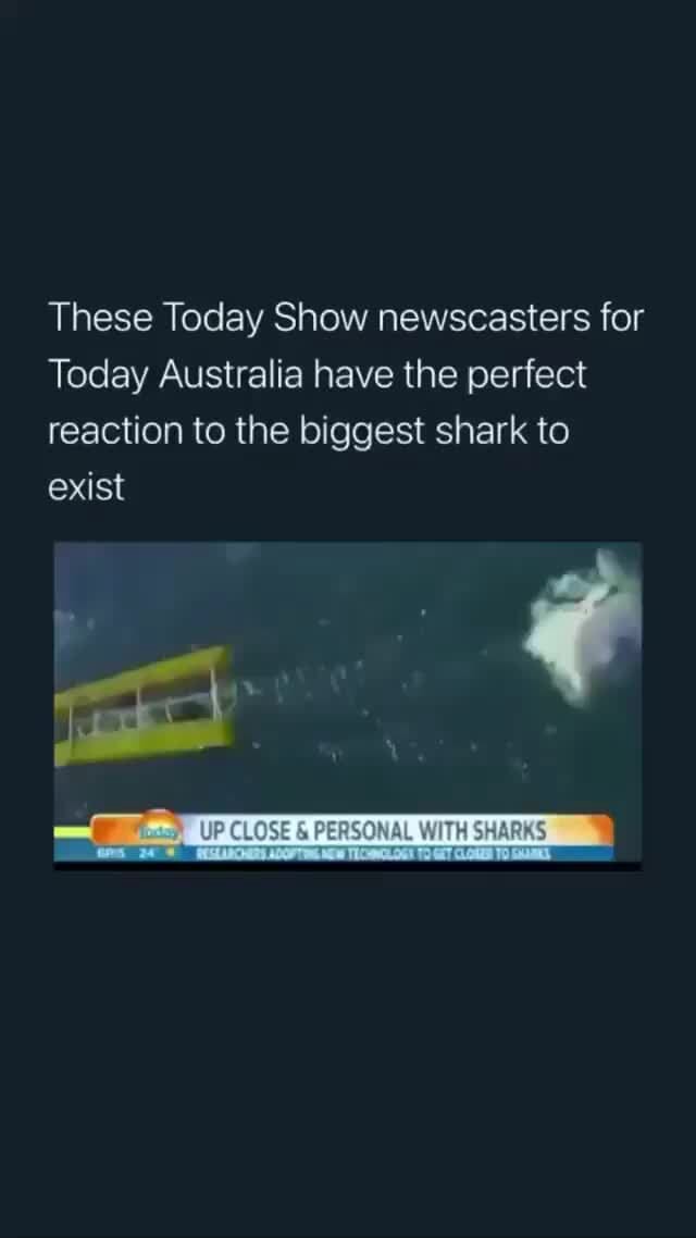 These Today Show Newscasters For Today Australia Have The Perfect these-today-show-newscasters-for-today-australia-have-the-perfect