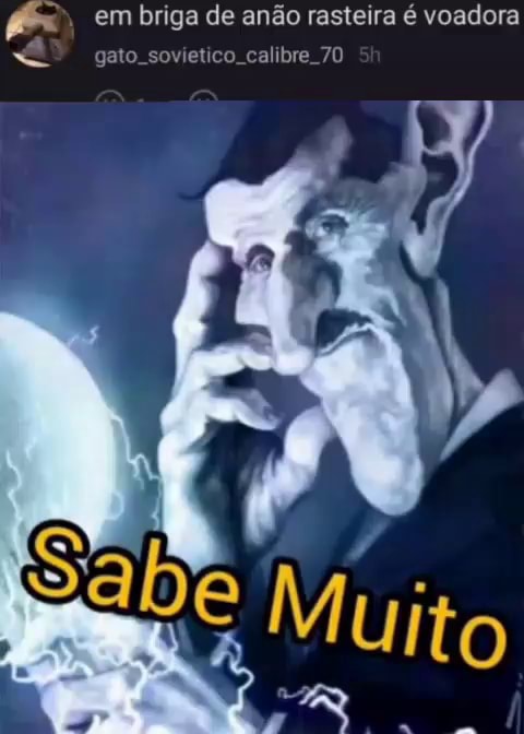 Em briga de anão rasteira é voadora gato. sovietico. calibre. 70 - iFunny