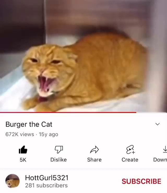 Burger the Cat 672K views Iby ago \f aA SK Dislike Share Create Dow ...