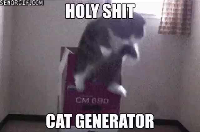 HOLY SHIT: CAT GENERATOR - iFunny