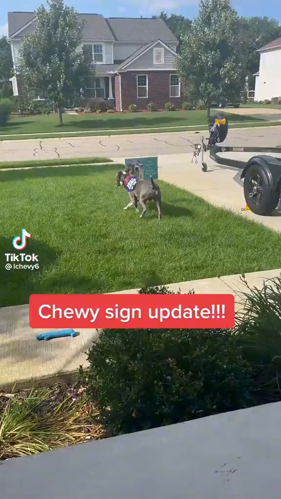 TikTok Chewy sign update!!! - iFunny