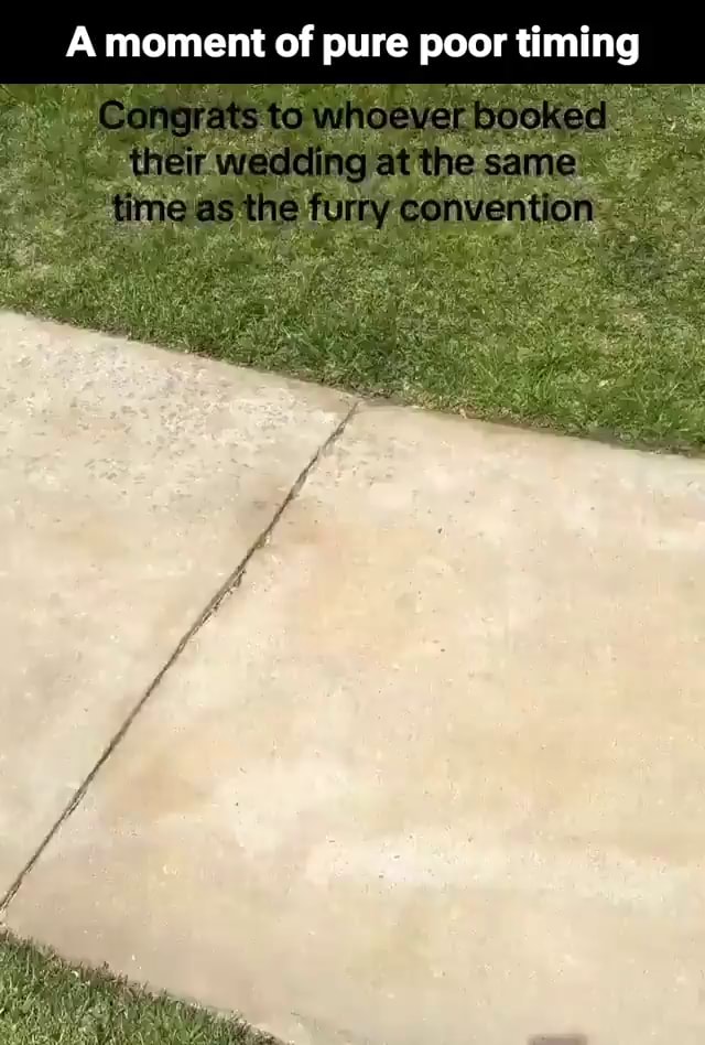 A moment of pure poor timing - iFunny