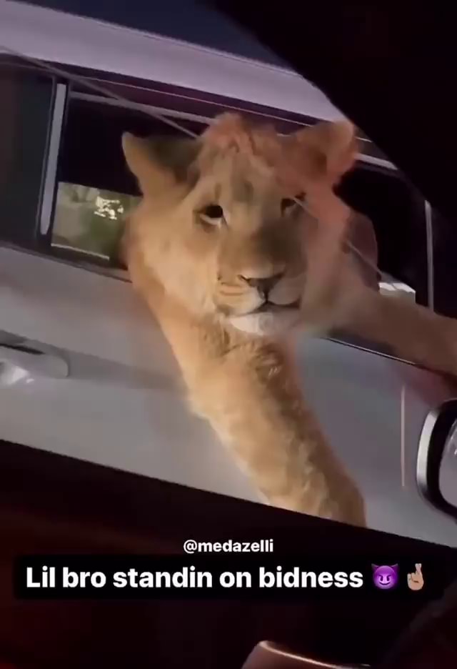 Lil bro standin on bidness - iFunny