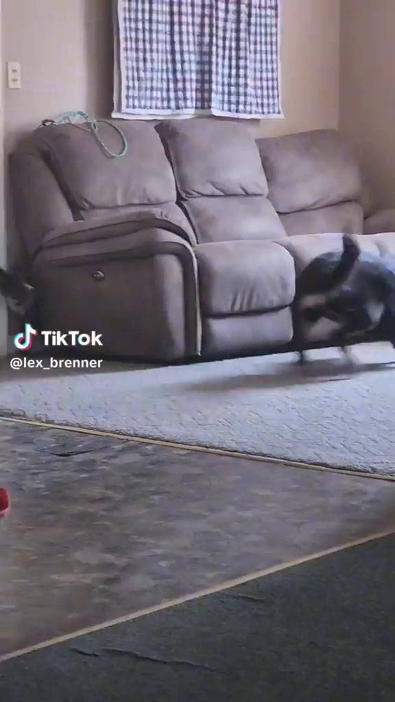 Video memes hPjpgNb2C by THE_PSYCHO_WOLF_ - iFunny