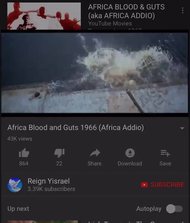 Africa Blood and Guts 1966 (Africa Addio) v - iFunny