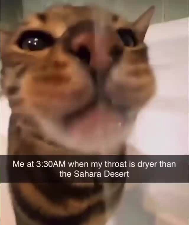 Me at when my throat is dryer than the Sahara Desert - iFunny
