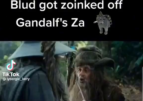 Blud got zoinked off Gandalf's Za TikTok - iFunny