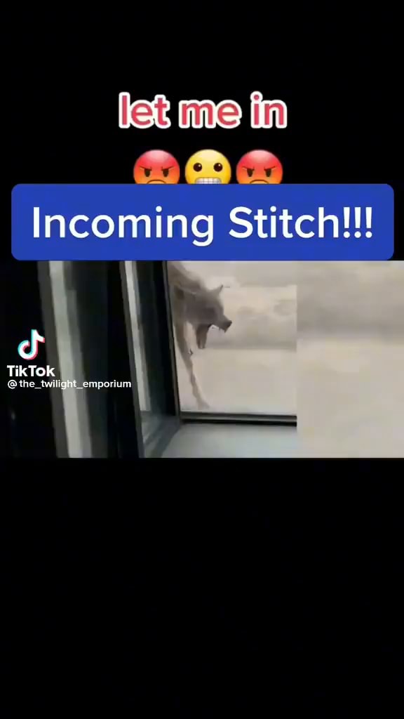 Let me in Incoming Stitch!!! TikTok the emporium - iFunny