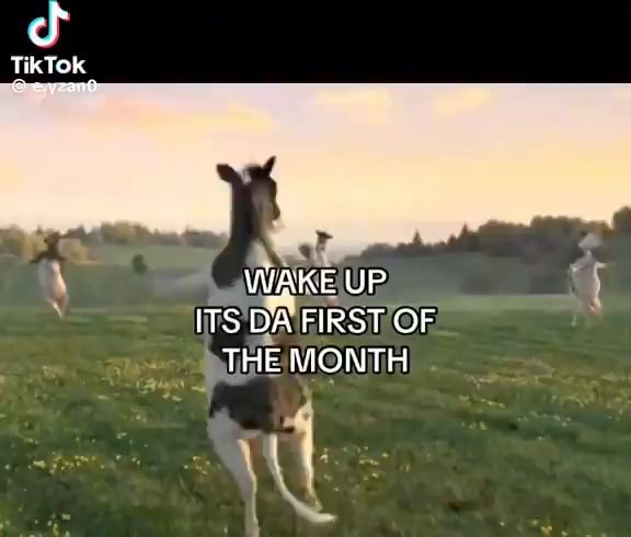 TikTok WAKE UP ITS DA FIRST OF THE MONTH - iFunny
