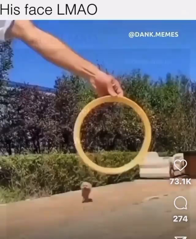 His face LMAO @DANK.MEMES - iFunny