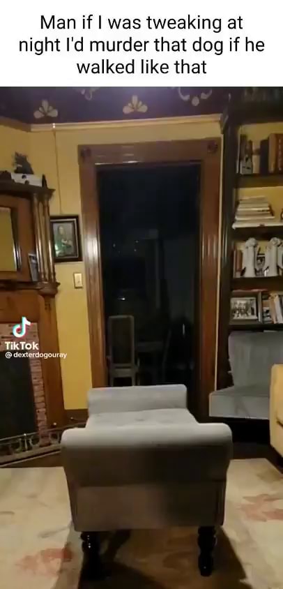 Man if I was tweaking at night I'd murder that dog if he walked like ...