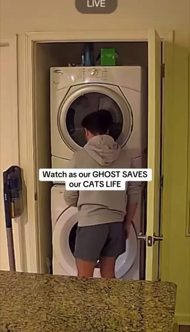 Watch as our GHOST SAVES =-I our CATS LIFE - iFunny