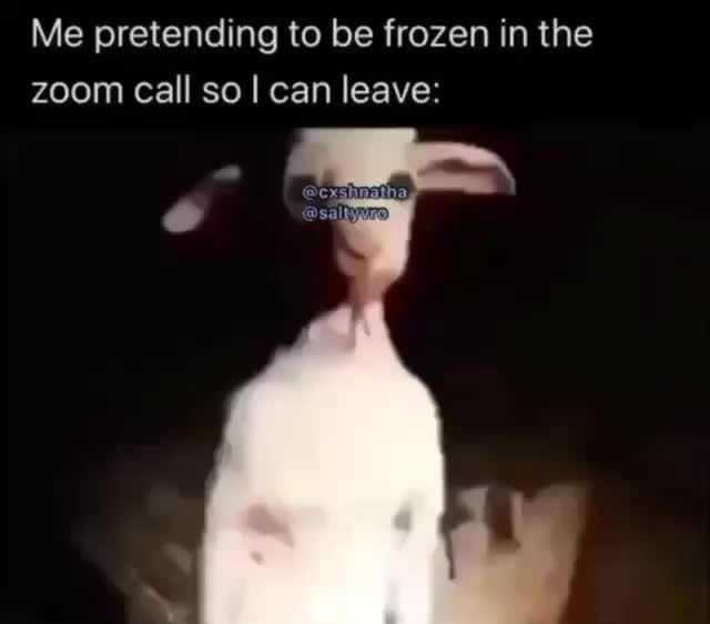 Me pretending to be frozen in the zoom call so I can leave: - iFunny