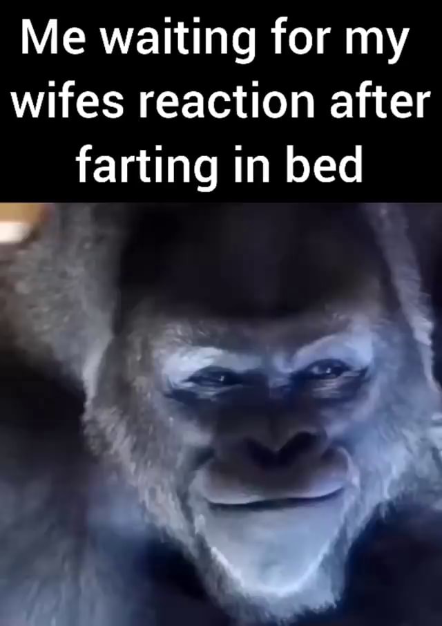 Me Waiting For My Wifes Reaction After Farting In Bed Ifunny