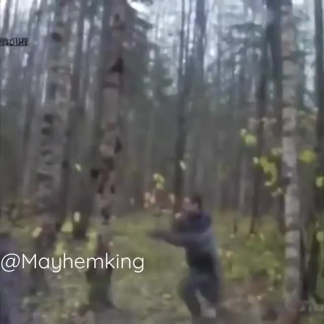 Pitbull- timber meme mashup - iFunny