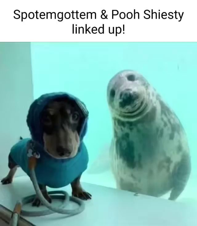 Spotemgottem & Pooh Shiesty linked up! - iFunny