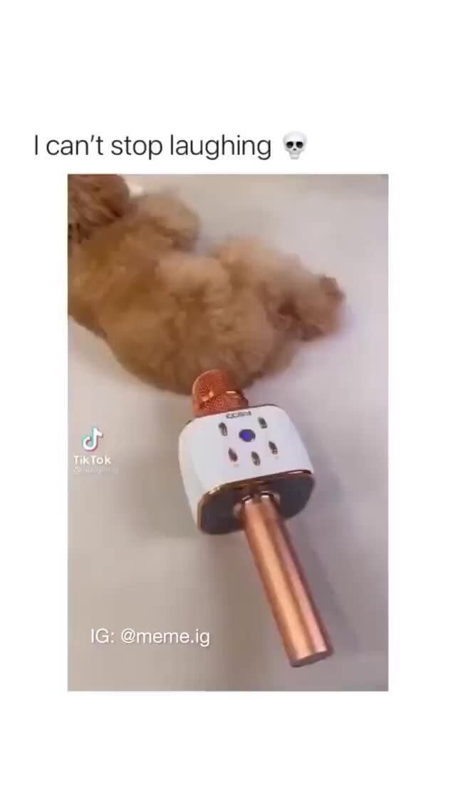 Can't stop laughing IG: @meme.ig - iFunny