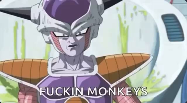 FUCKIN MONKEYS - iFunny