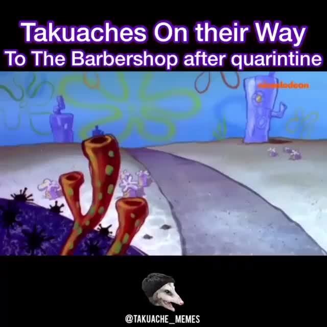 Takuache_memes on Instagram - Takuaches On their Way To The Barbershop ...