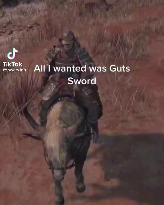 Sf Tik Tox All wanted was Guts Sword - iFunny