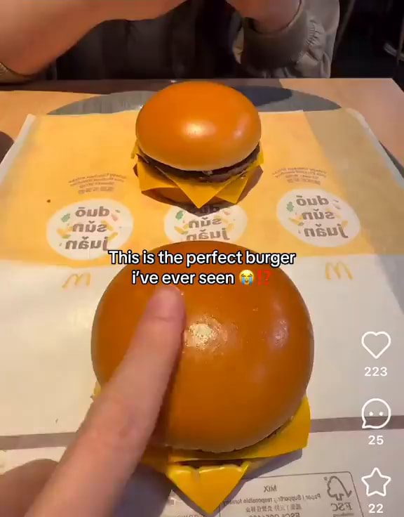 This is the perfect burger i've ever seen - iFunny