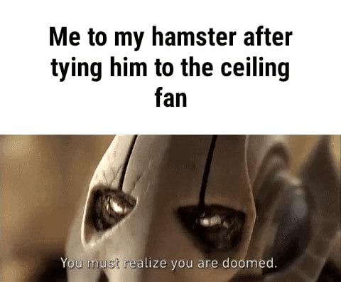 Me to my hamster after tying him to the ceiling fan - iFunny
