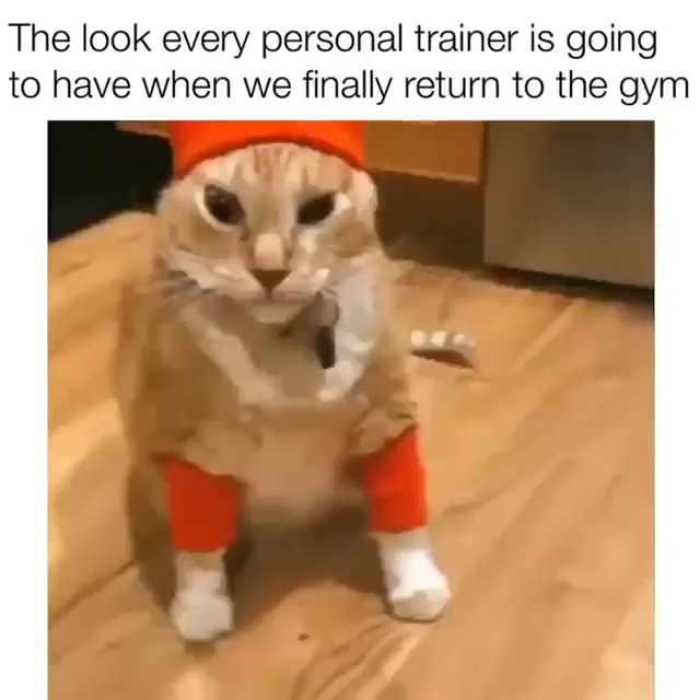 #memes #catmemes #quarantine - The look every personal trainer is going ...