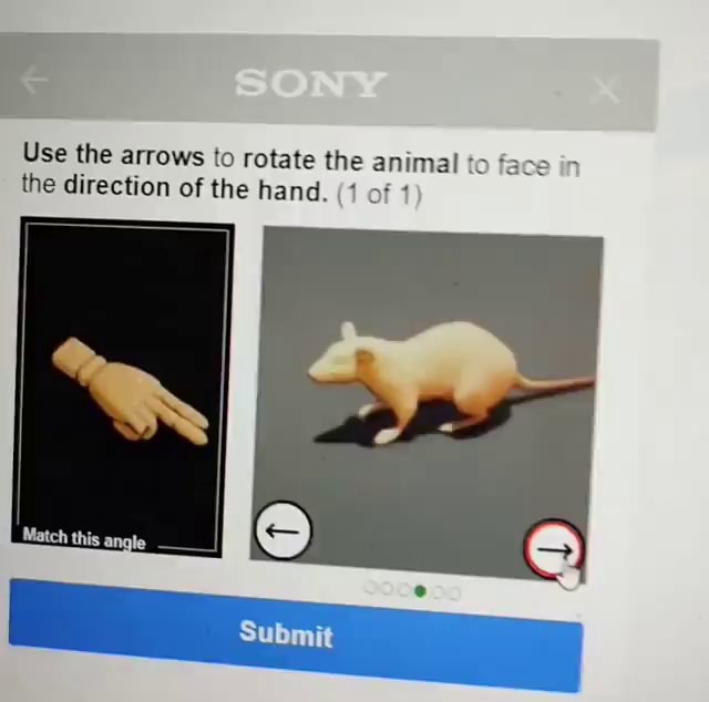 Use the arrows to rotate the animal to face in the direction of the ...