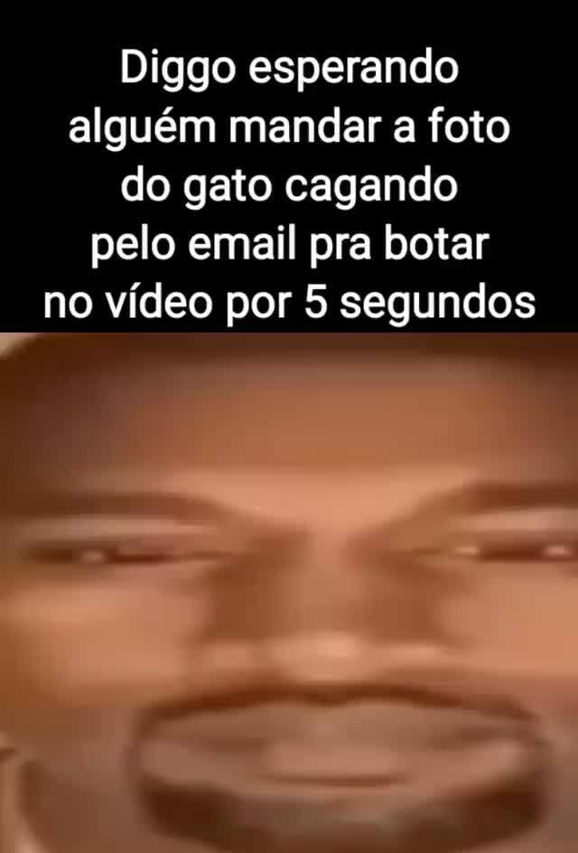 Diggo Esperando Alguém Mandar A Foto Do Gato Cagando Pelo Email Pra