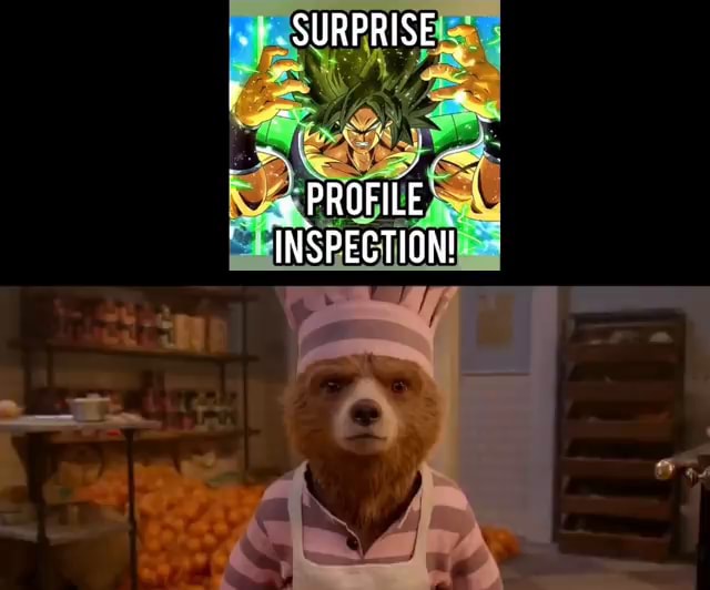 SURPRISE PROFILE: INSPECTION! - iFunny