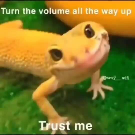 Turn the volume all the way up me - iFunny