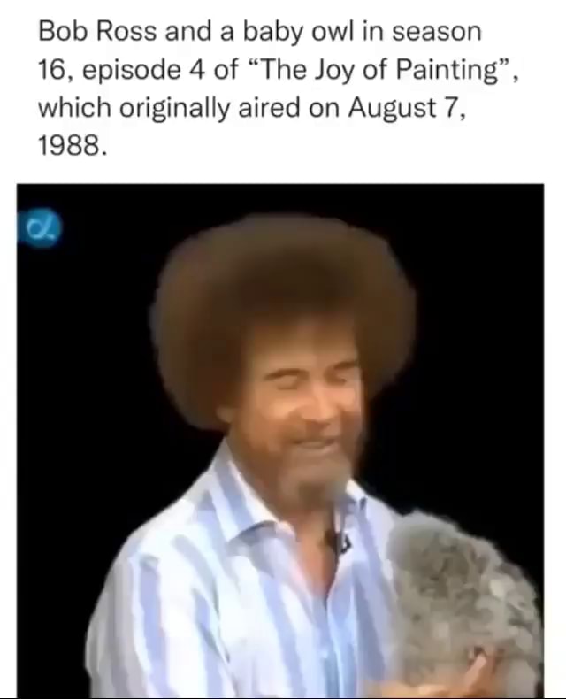 Bob Ross and a baby owl in season 16, episode 4 of "The Joy of Painting ...