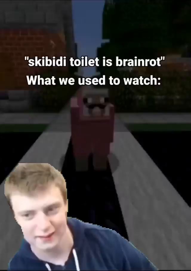 "skibidi toilet is brainrot" What we used to watch: - iFunny