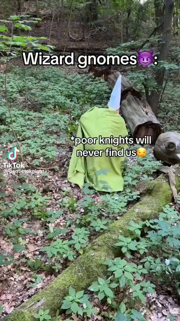 Wizard gnomes *poor knights will never fincl us TikTok & pumticroxnight ...