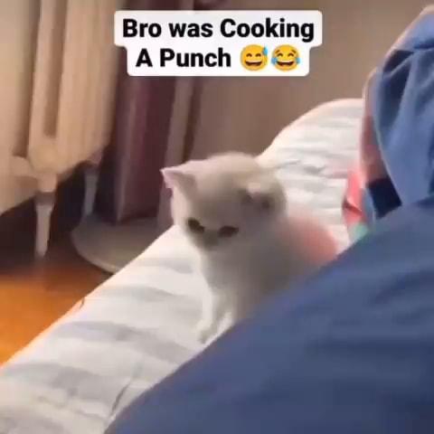 Bro was Cooking APunch @ @ - iFunny